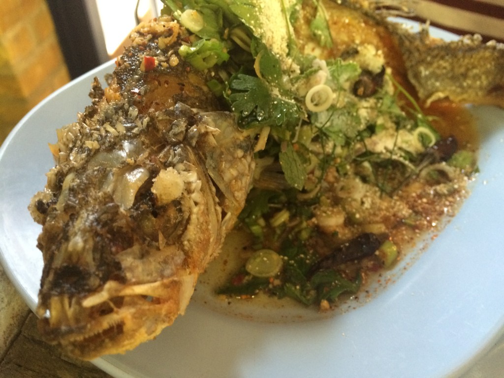 50 Coffees with 50 People, A Lot of Weeks